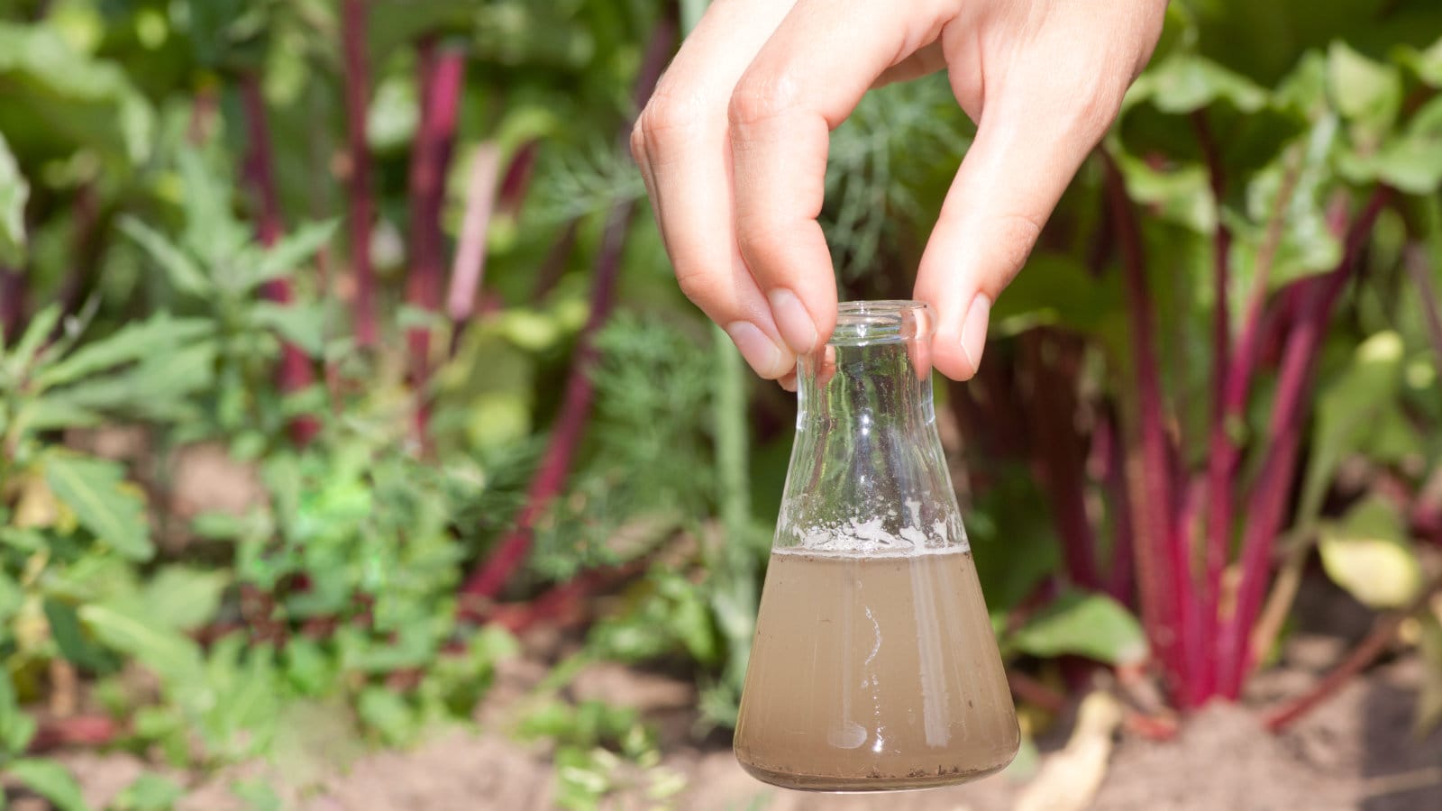 Spotting Contaminated Water: A Must-Read Guide for Lehigh Valley Well ...